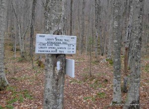 Heavy Lifting on Mt Liberty - SectionHiker.com