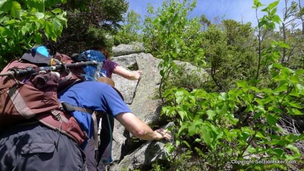 Mt Washington: Nelson Crag and the Alpine Garden - SectionHiker.com