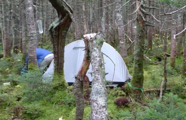 9 Campsite Selection Tips - SectionHiker.com