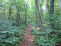 Backpacking Old Speck Mtn and the West Grafton Loop - SectionHiker.com