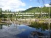 Explore the Pemigewasset Wilderness: Backpack to Thirteen Falls ...