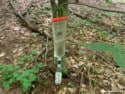 HydroBlu Water Filter for Backcountry Adventures - SectionHiker.com