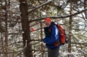 Bushwhacking Dinsmore Mountain - SectionHiker.com