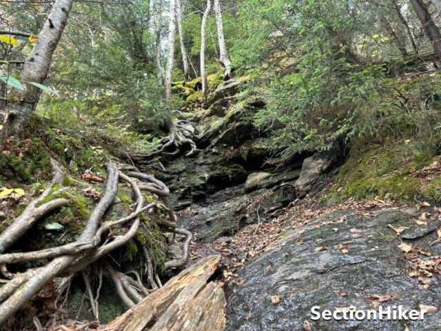 Conquering Mt Mansfield: The Hell Brook Trail Adventure - SectionHiker.com